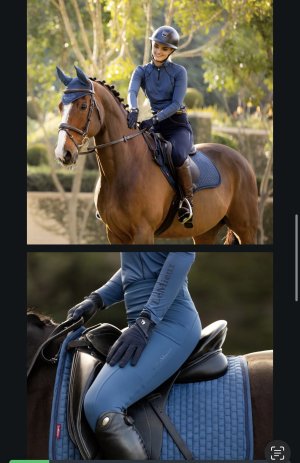 **new Le Mieux** | Horse and Hound Forum