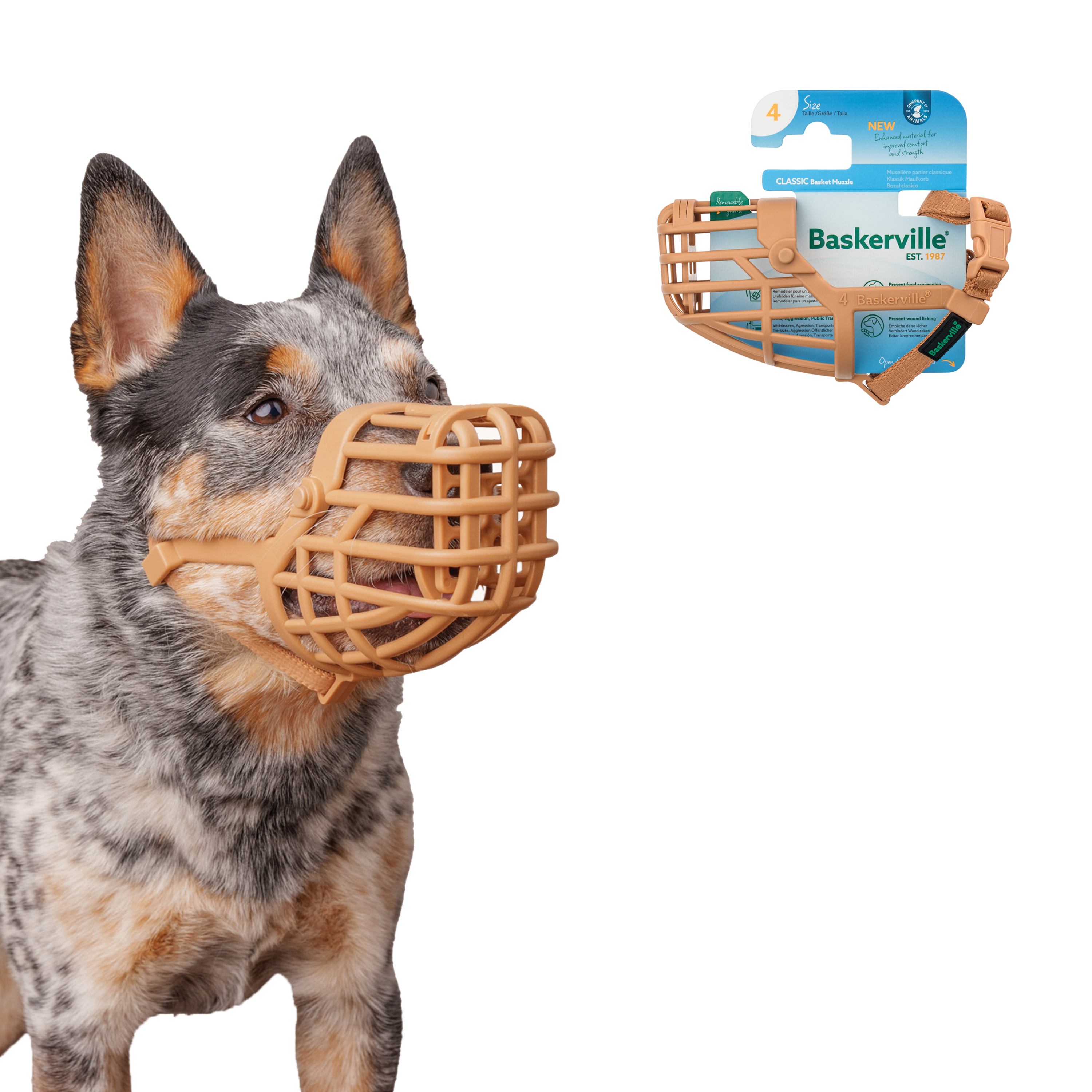 Muzzles | Horse and Hound Forum