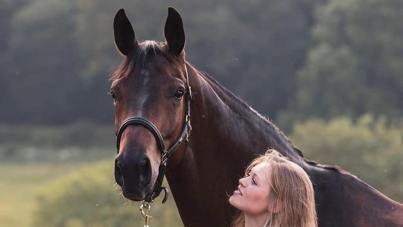 Crowd Fund for Olaf 🙏🥰 | Horse and Hound Forum